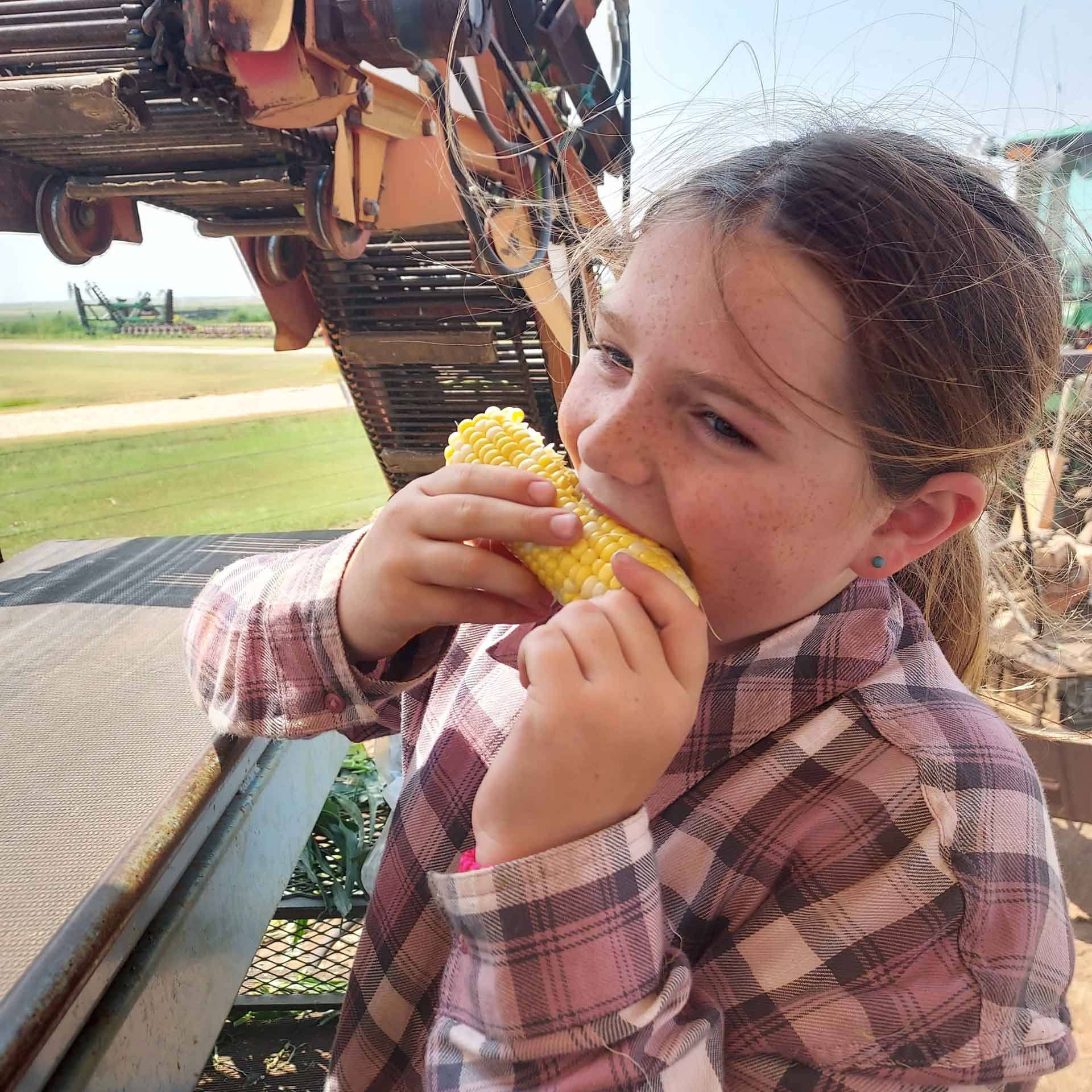 Gourmet Sweet Corn – GEE FAMILY FARMS